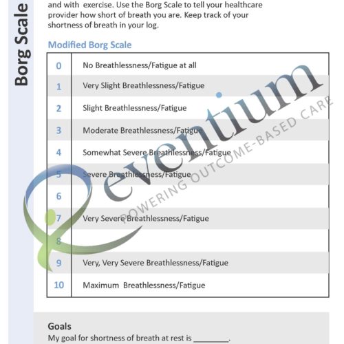 Borg Scale Spanish | Eventium