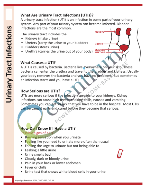 Urinary Tract Infection | Eventium