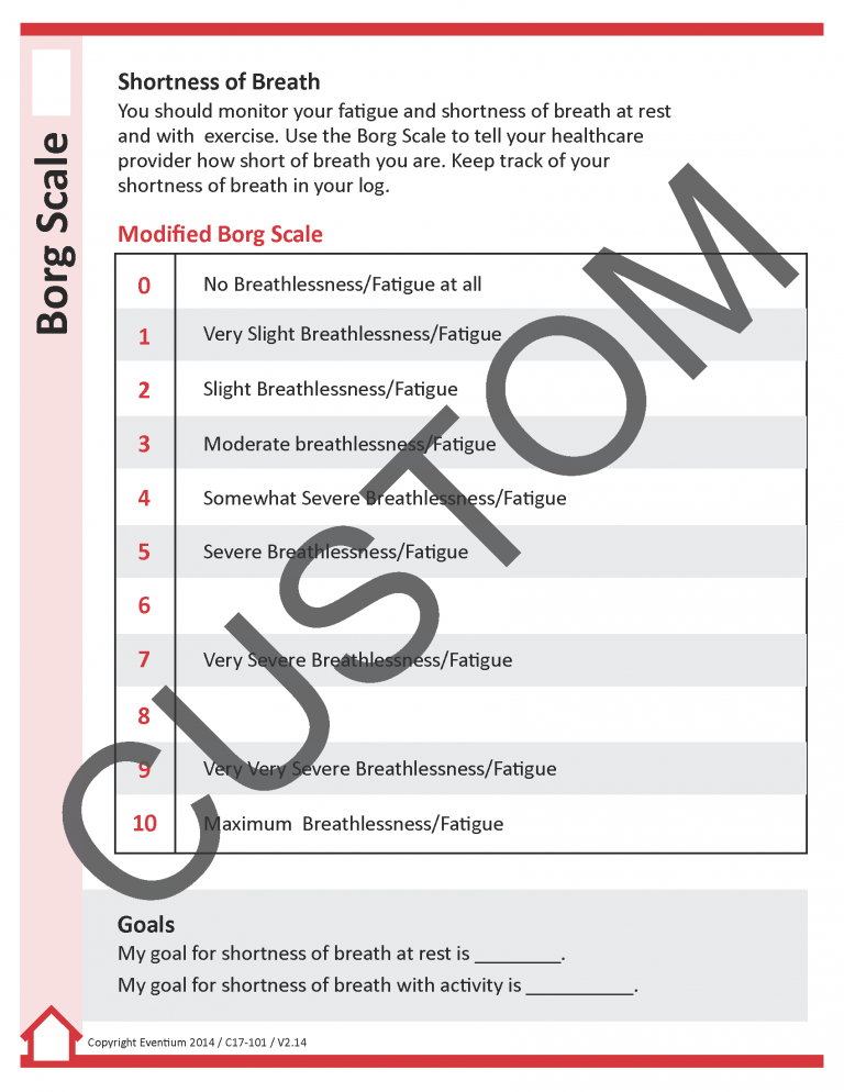 Borg Scale Custom | Eventium